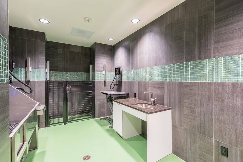 Luxury Apartments in Houston, TX | Market Square Tower